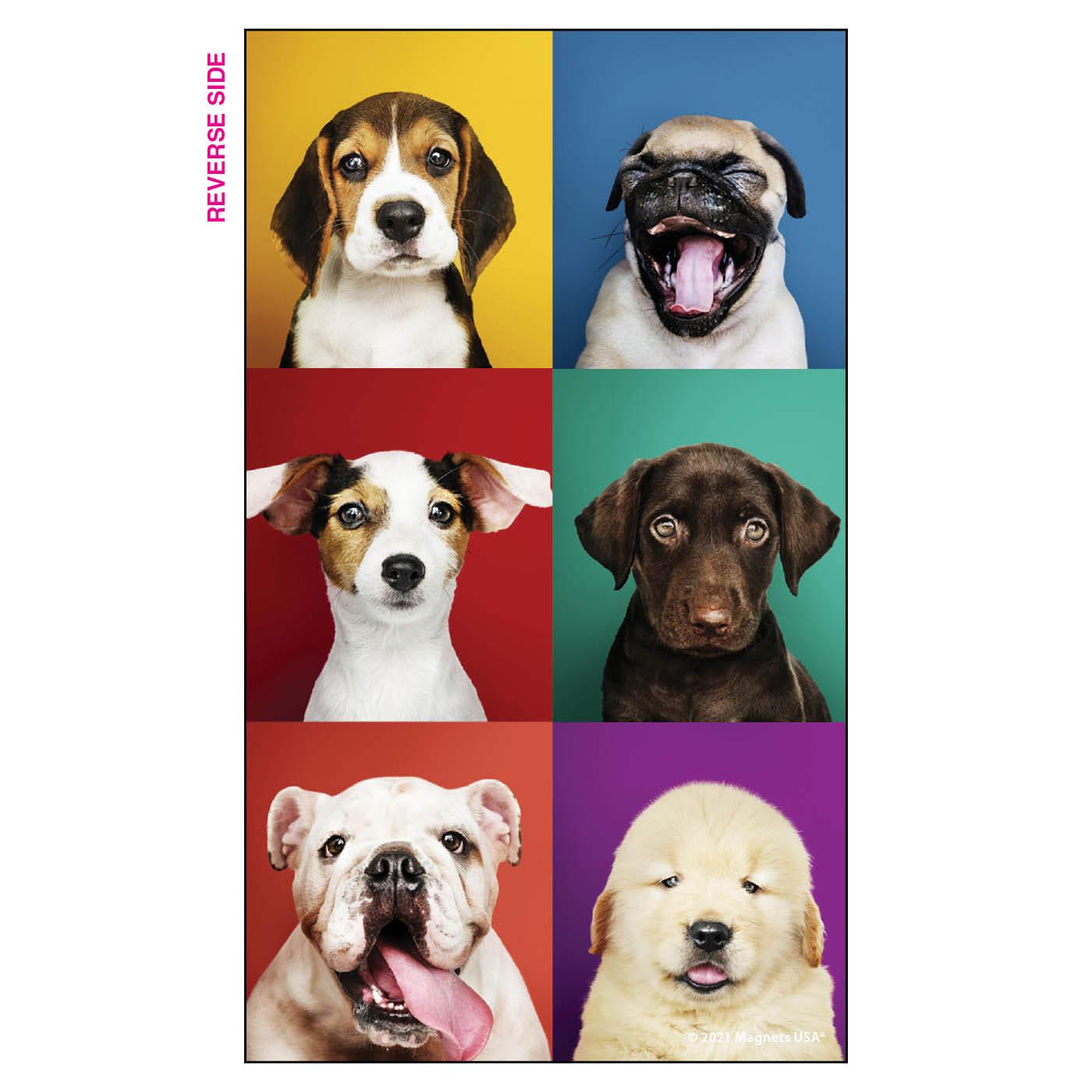 Dogs Collage Lightweight GiftNote™