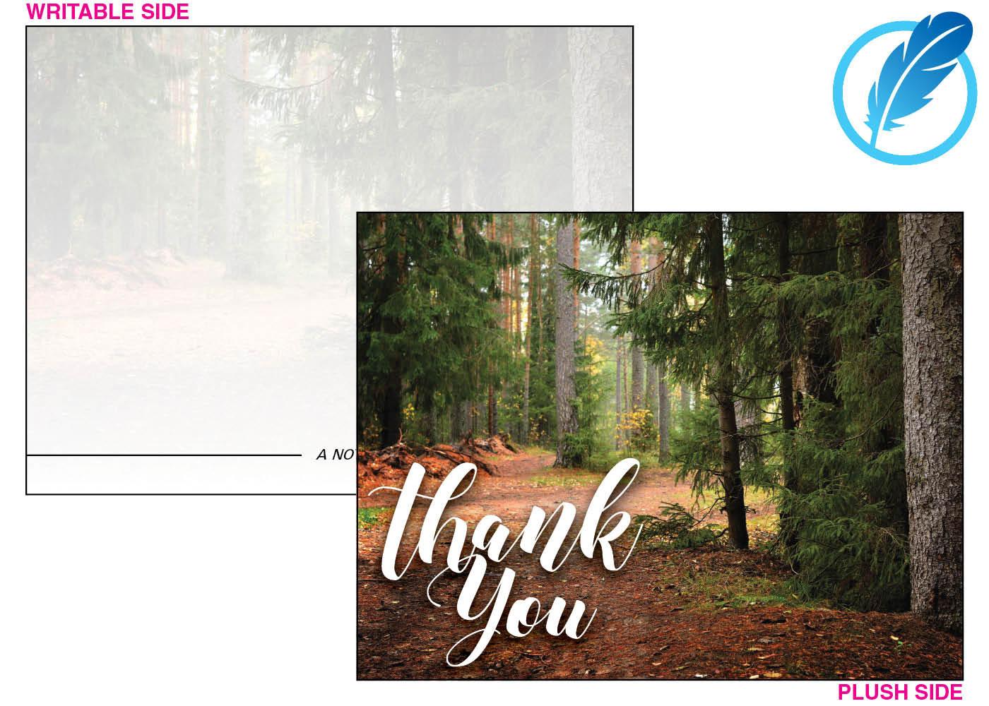 Custom Printed PLUSH™ Notecards | Magnets USA® | Forest Path Thank You